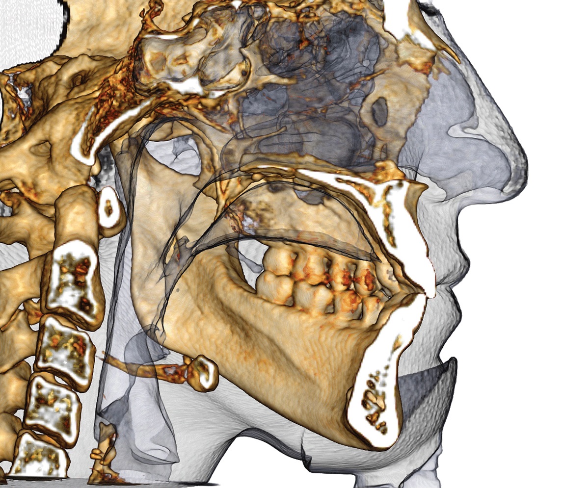 Anatomage Dental Home - Anatomage
