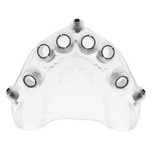 Anatomage Guide - Anatomage