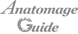Anatomage Guide Support - Anatomage
