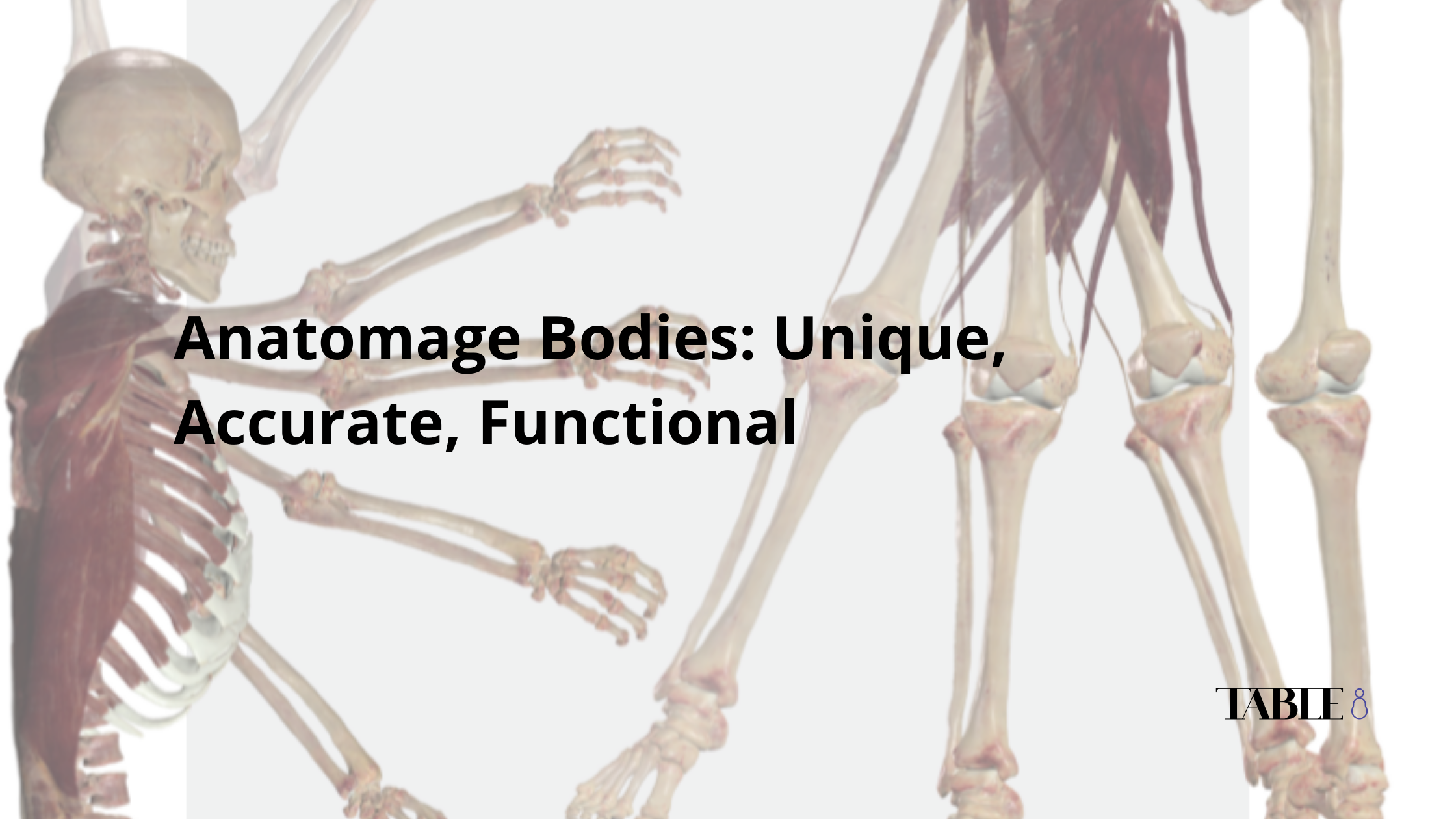 Simulate 3D Anatomy, Physiology and Kinesiology On Digital Bodies
