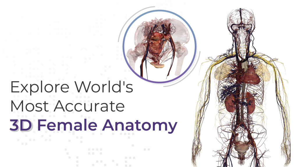 The World's Most Accurate 3D Anatomical Models - Anatomage Table 9