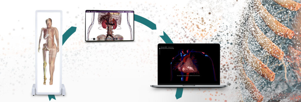 バーチャル解剖の学修パッケージ｜Anatomage クラスルーム パッケージ