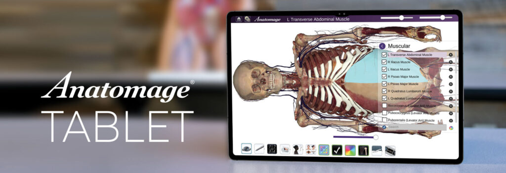 Anatomage Tablet: 指先でのリアルな解剖学